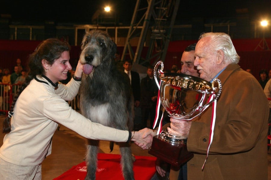 Les chiens à l’honneur au chapiteau de Fontvieille de Monaco les 6 et 7 ...